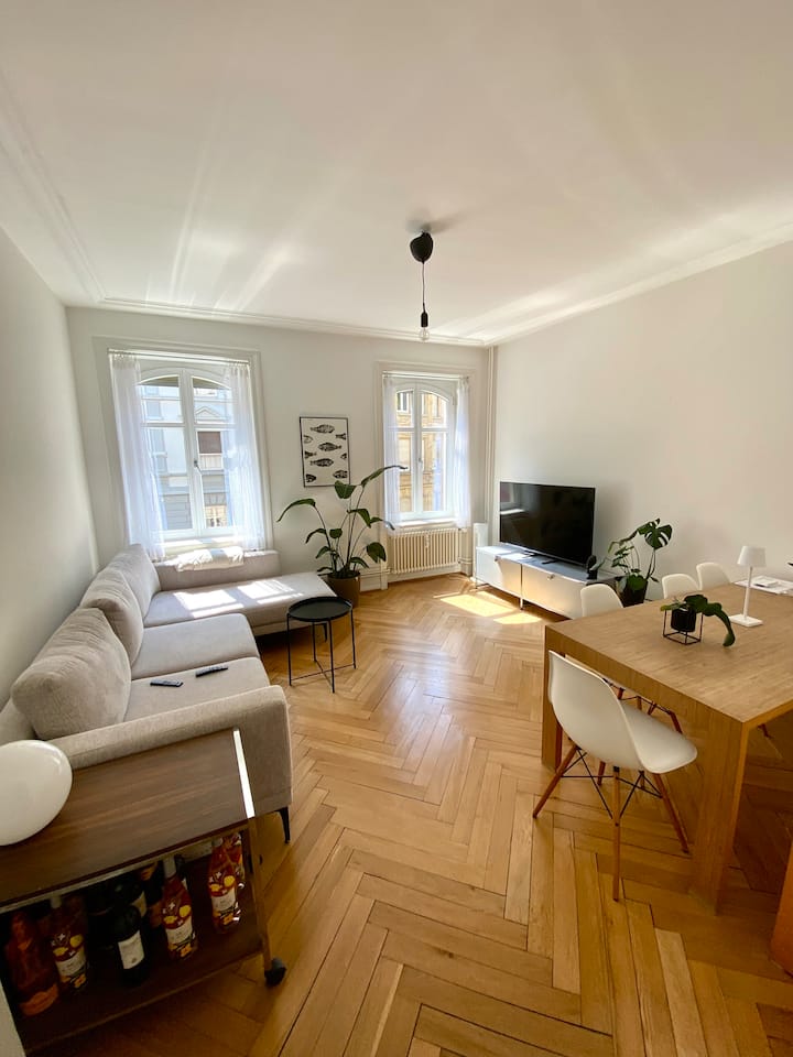 2.5br Aprtment In The Heart Of Basel - Basel