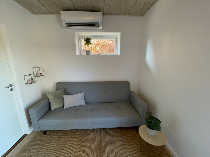Lille Nyrenoveret Lejlighed - Aarhus