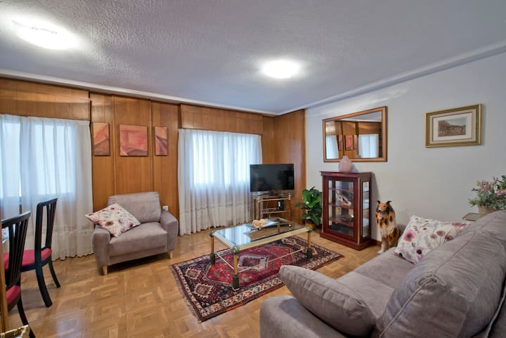 Apartamento Céntrico Y Espacioso - Oviedo