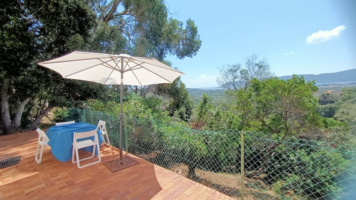Appartement 3 Pièces Dans Villa Sur Les Hauteurs - Porto-Vecchio