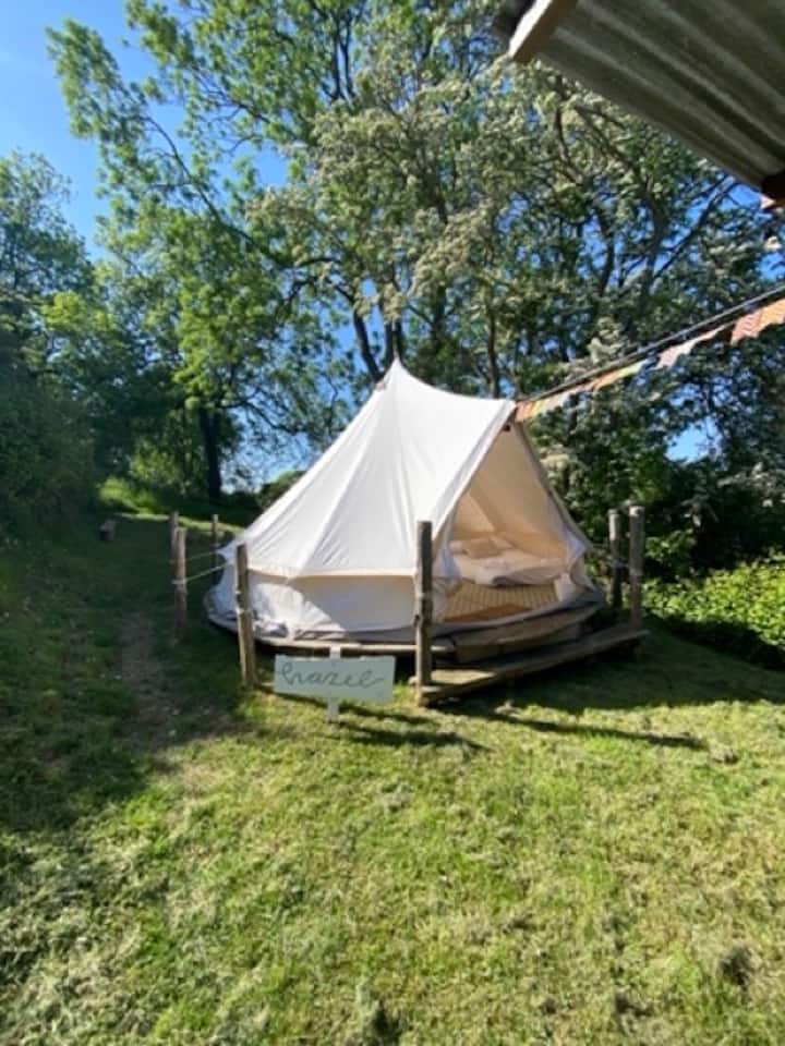 Hazel-secluded Amongst The Trees - Tetbury