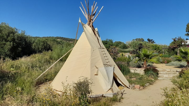Tipi - Medina-Sidonia