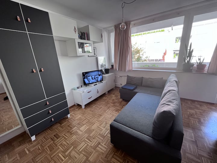 1-bedroom Apartment With Balcony - Munich
