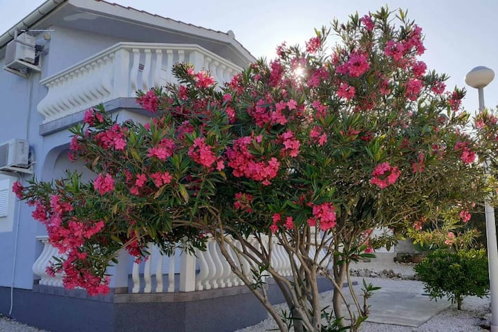 Apartman Helena 2+2 - Vir Insel, Kroatien