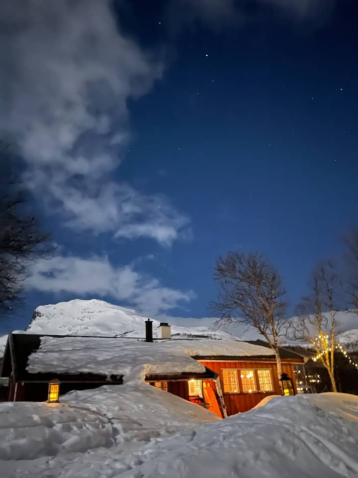 Tyin-filefjell-ski Inn/out.jotunheimen. Kongeveien - Norveška