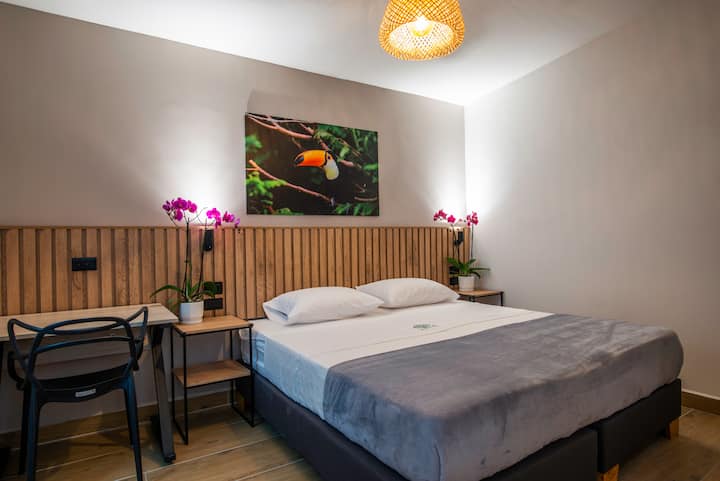 King/twin 203 Vita Hotel Boutique Medellin - Medellín, Colombia