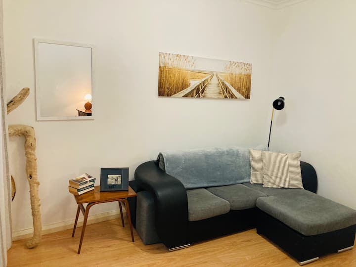 Downtown Apartment - Ilha do Faial