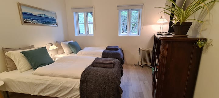 Studio Apartment In City Center - Reykjavík