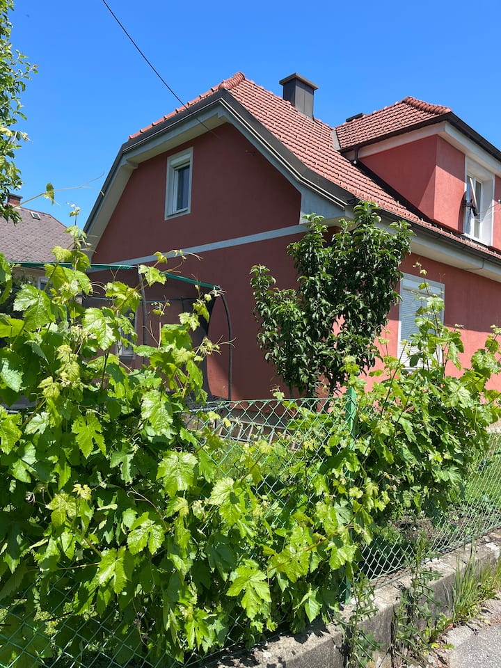 Villa Im Herzen Klagenfurts - Klagenfurt