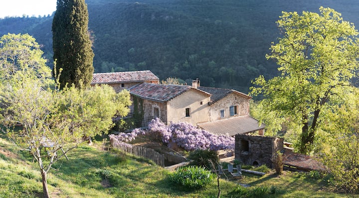 Mas A Louer Dans Les Cevennes - Anduze