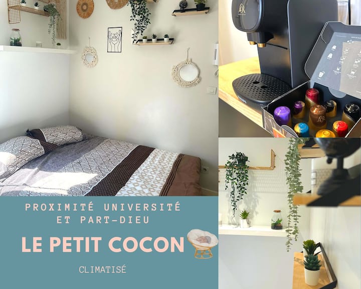 Part-dieu 10 Min - Proximité Université. - Lyon