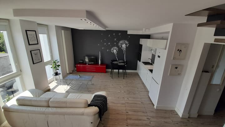 Apartament ŁUbinowa - Toruń