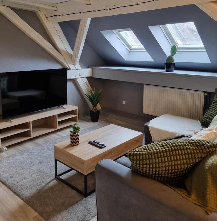 Bel Appartement Hyper Centre - Elsass