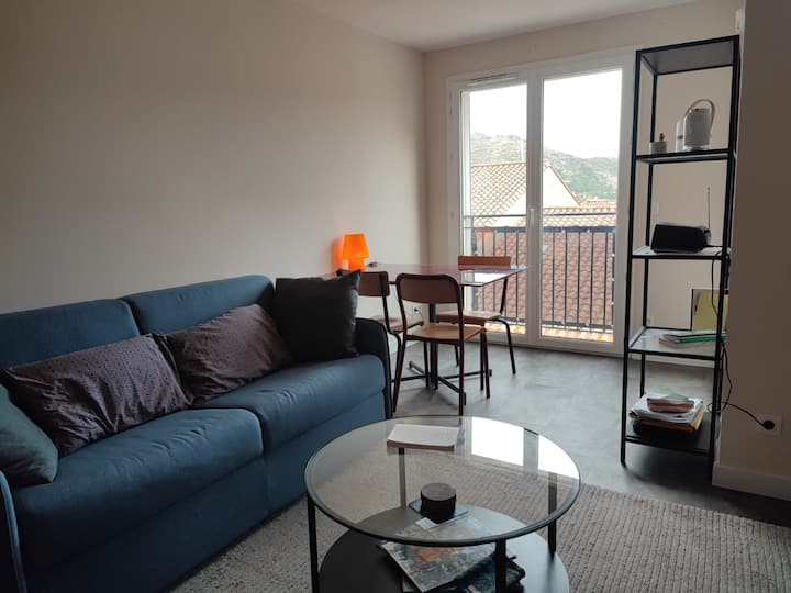 P225 : Appartement 3 Personnes - Climatisé - Cerbère