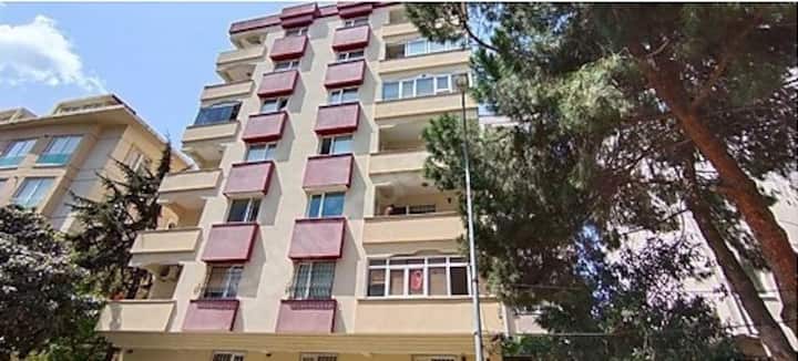 3+1- Aile Için Mükemmel Daire - Adalar