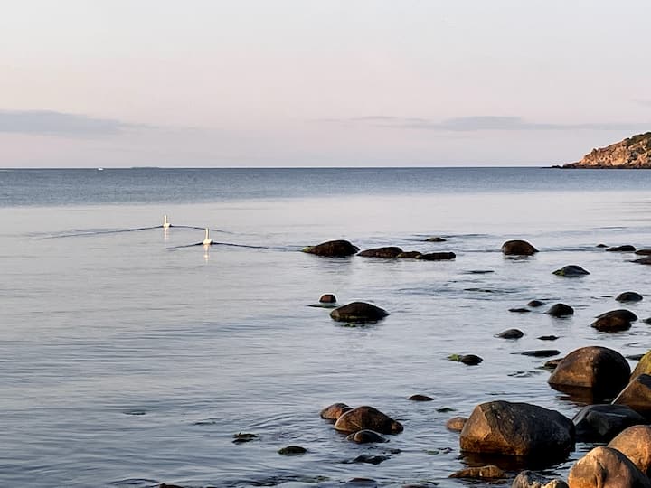 Lille Paradis Ved Havet - Bornholm