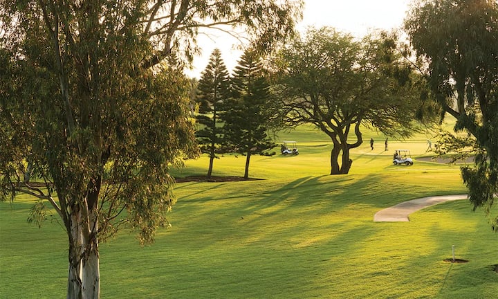 Paniolo Greens Two Bedroom - Hapuna Beach State Recreation Area, Waimea