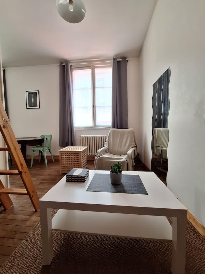 Appartement Cosy Tours Centre - Tours