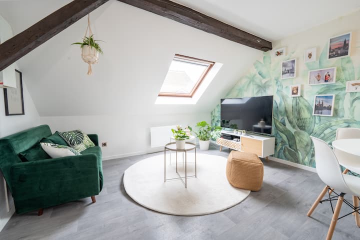 Cosy Studio Et Parking Gratuit - Hœnheim