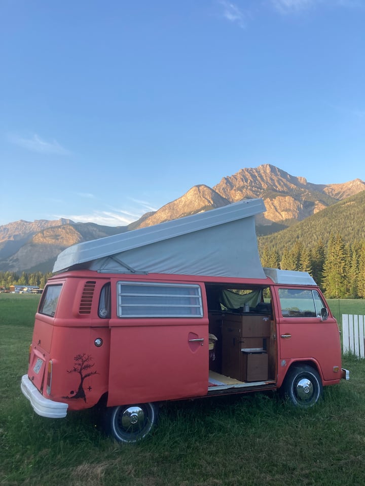 Camping In The Woods Internet Crush Bus - Golden