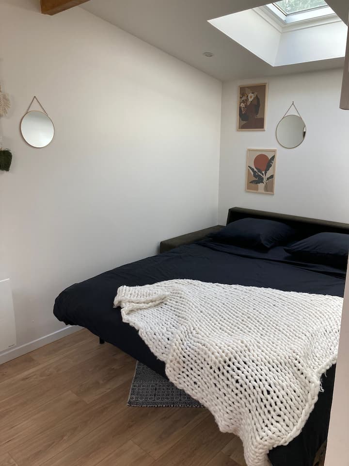 Studio Proche Groupama Stadium/eurexpo/aéroport - Meyzieu