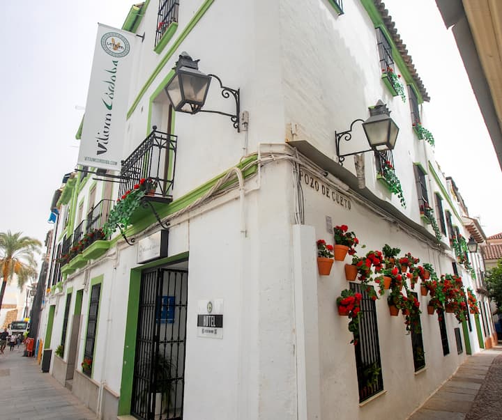 Hotel With Rooftop In The Historic Center - Córdoba, Espagne