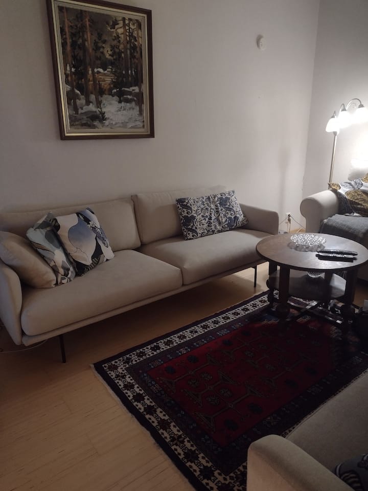 Saunallinen Citykolmio (4-6h) - Joensuu