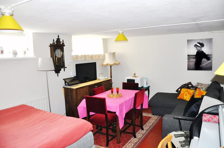 Kingdom Hall - Historic Floor, Now Retro Room 18m2 - Loviisa
