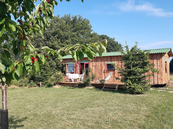 Petit Chalet 35 M2 Tout Confort - Dordogne