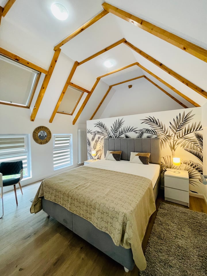 Dendro Apartment-free Parking - Cluj-Napoca