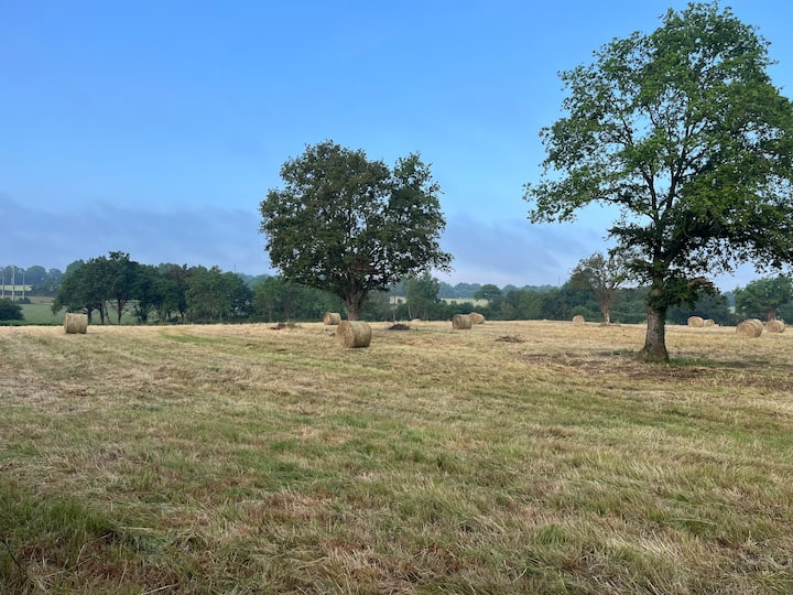 Emplacement Calme Et Reposant - Châteaubriant