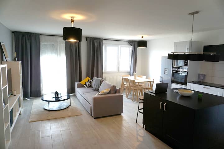 Beau 4 Pieces De 100m2 - Strasbourg