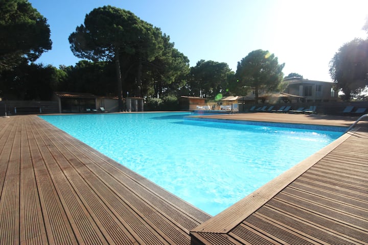 Studio Proche Plage - Belle Piscine - Tout Neuf ! - Lecci