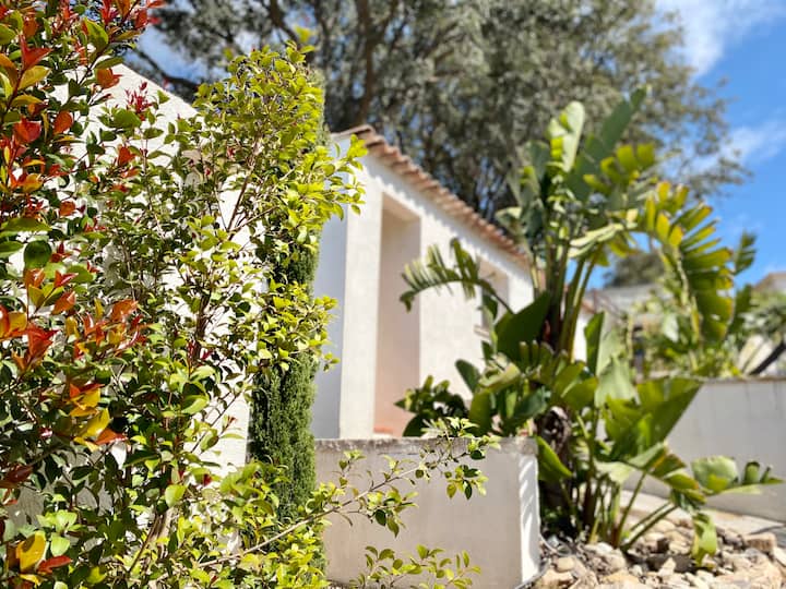 Suite 1 Chambre Chêne - Hôtel Avec Piscine - Ajaccio