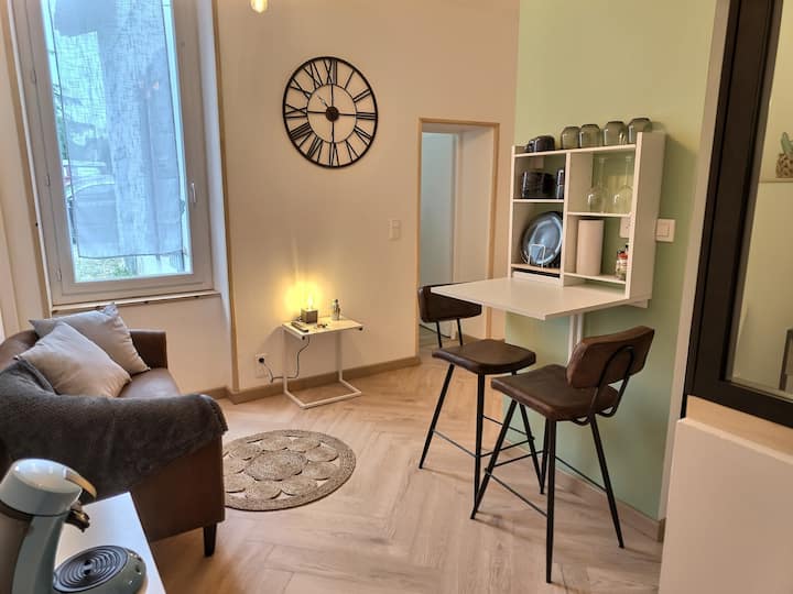 Le Pastelier - Parking Privé - Clim - Albi