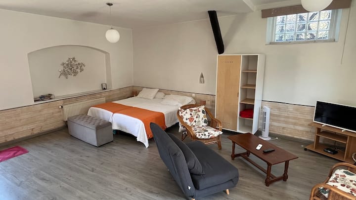 Charmant Studio Rénové Au Calme - Kaysersberg