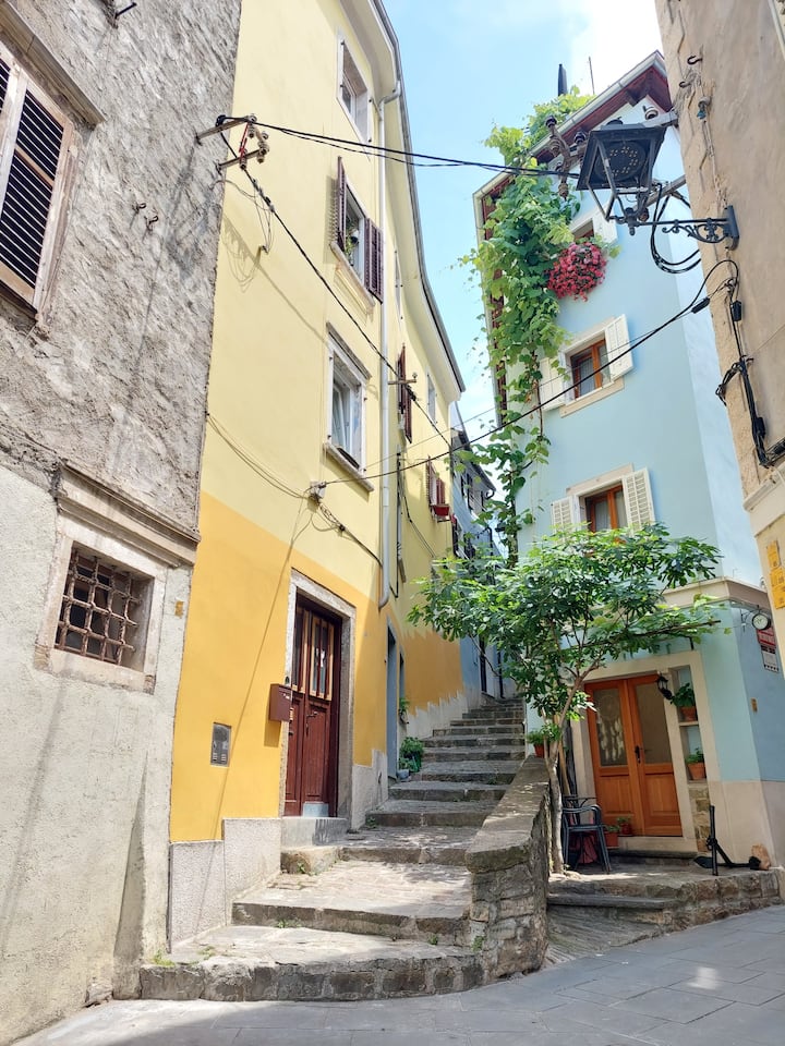 Studio ČEbelica - Piran
