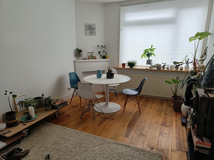 Beautiful House In Center - Utrecht