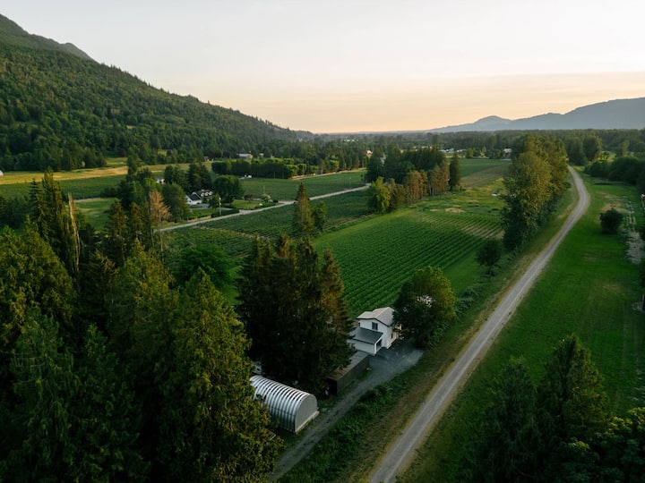 The Vineyard By The River - Chilliwack