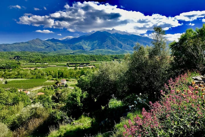 Gîte Figuier Eus Canigou - Vinça
