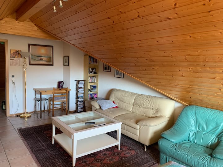 Grande Chambre Chez Particulier - Yverdon-les-Bains