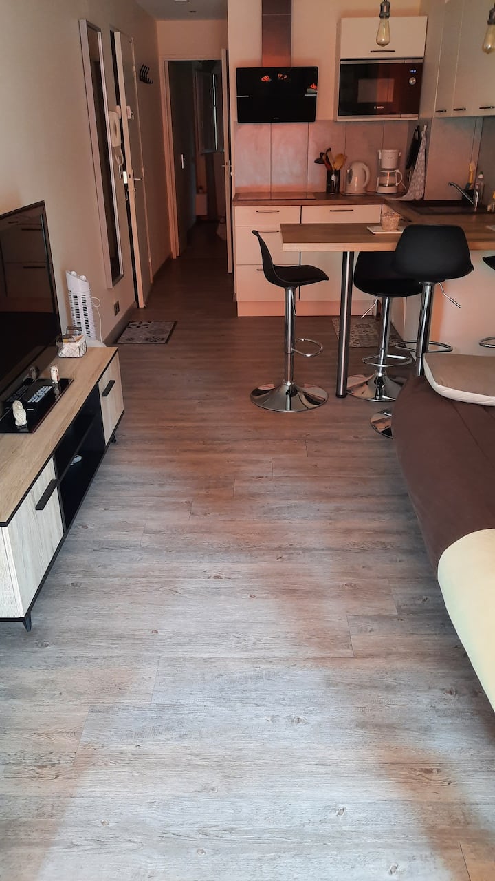 Appartement Calme Et Ensoleillé - ニース