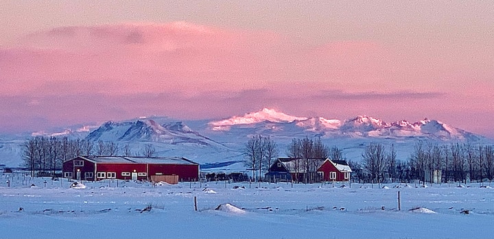 Eco-friendly Farm Stay - Islande