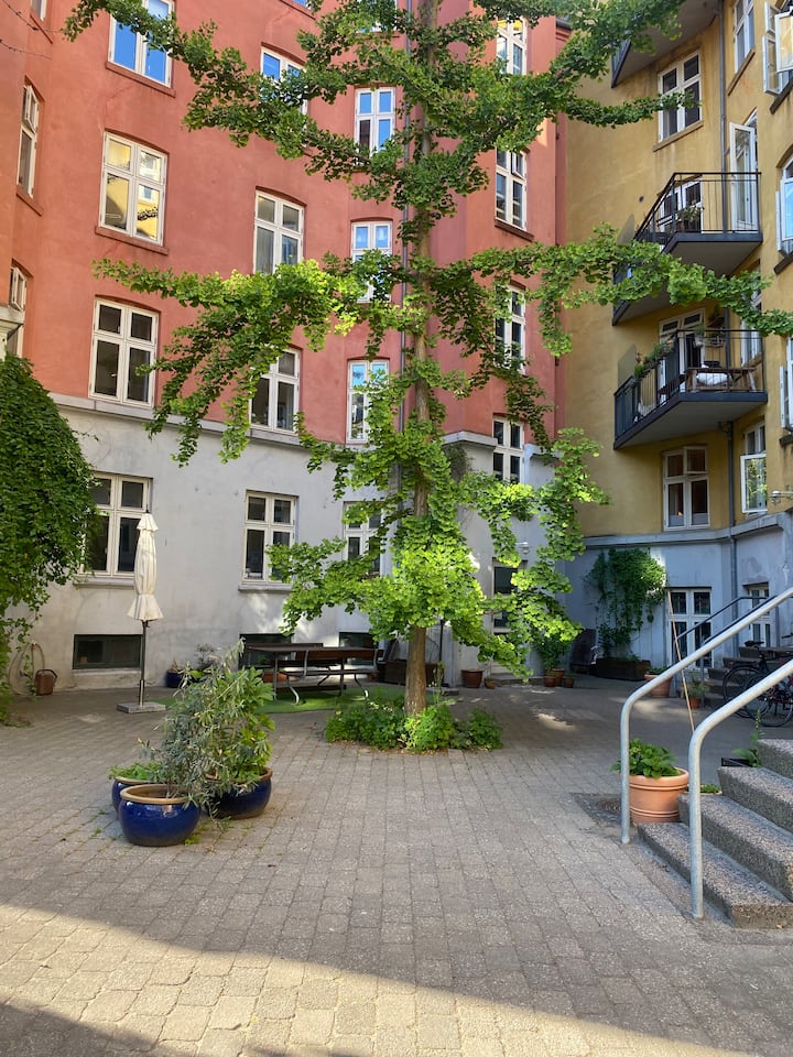 Best Neighborhood And Location In Central Nørrebro - コペンハーゲン