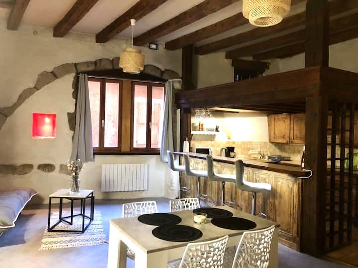 L'atypique, Bord Du Thiou - Annecy-le-Vieux