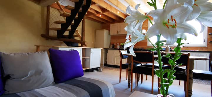 Gîte De Charme Accès Rivière - Aubenas