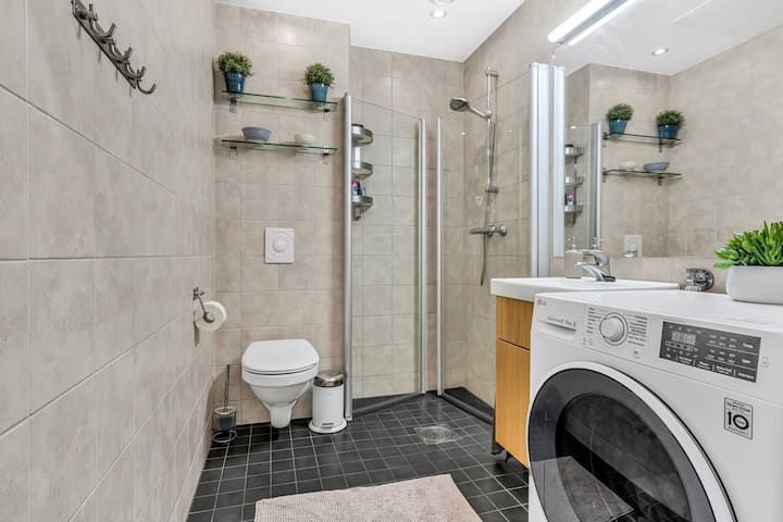 Supersentral Leilighet Midt I Oslo - Oslo