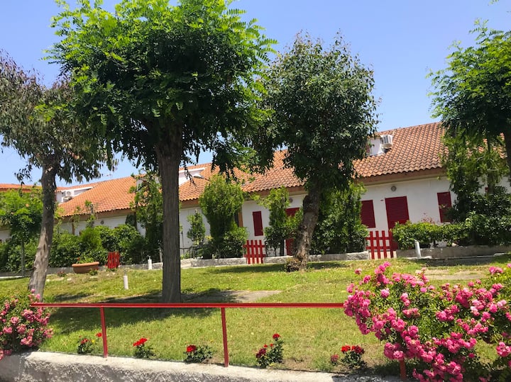 Maison De Vacances Avec Jardin Près De La Mer - Pietrapaola