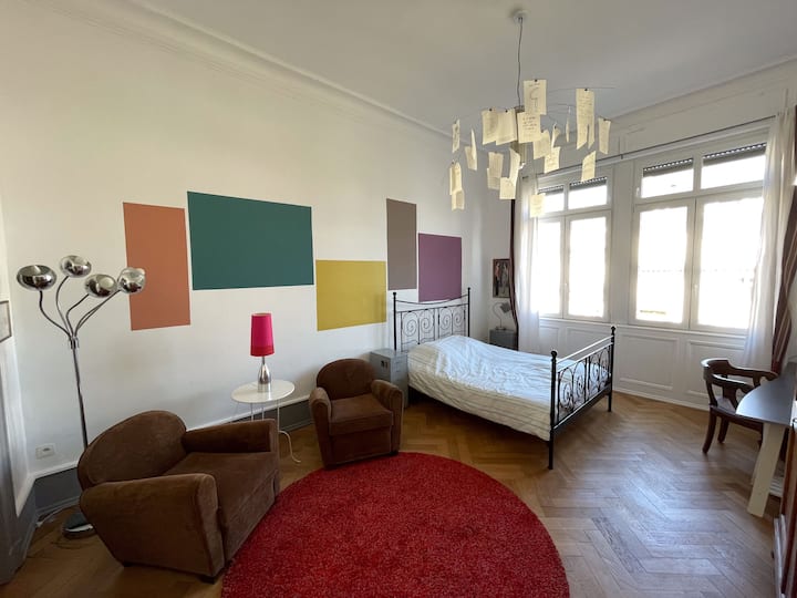 Grande Chambre Au Coeur De Strasbourg - Strasbourg