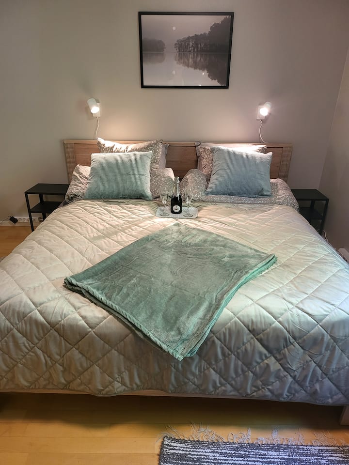 Luxury Apartment Puikuoja - Lappföld